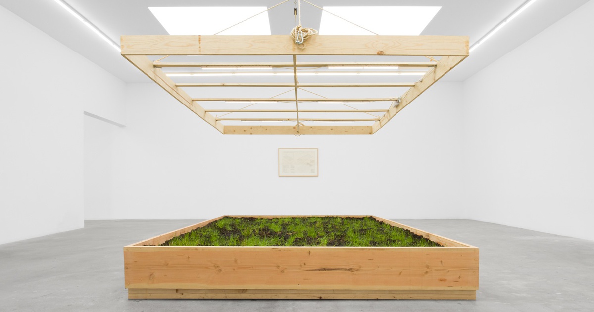 The Estate of The Harrisons - Exhibitions | Various Small Fires